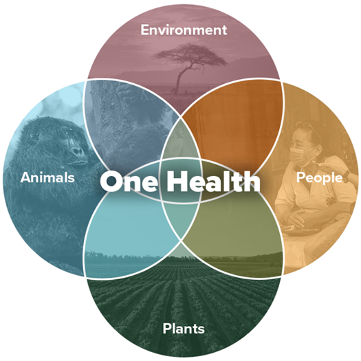 SANIDAD AMBIENTAL EN EL CONTEXTO "ONE HEALTH" - Asociación Andrés ...